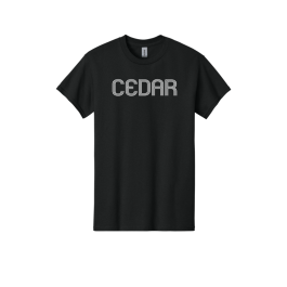 DSST Falcons Cedar Gildan - Port & Co Core Cotton DTG Tee PC54